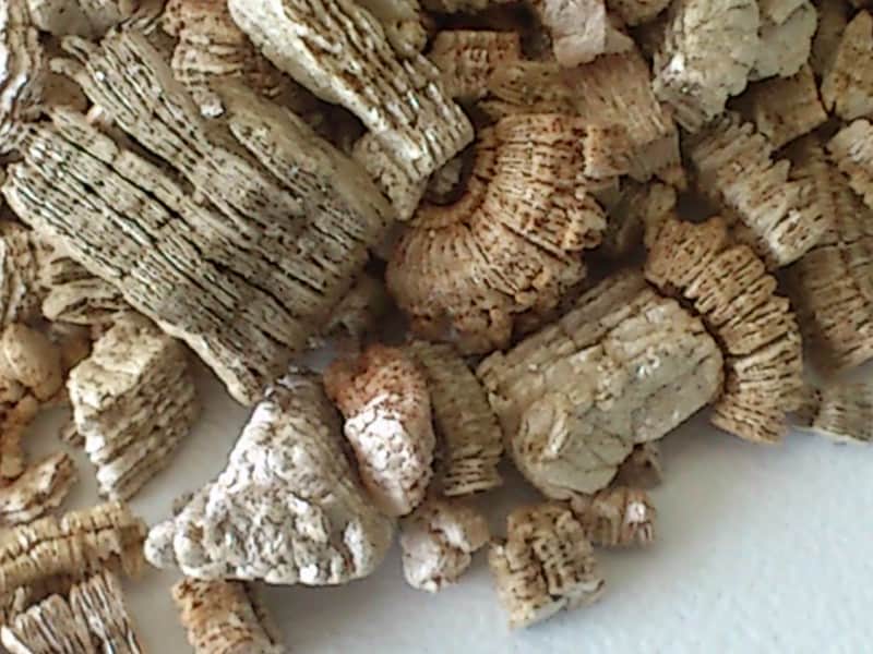 Perlite vs Vermiculite: Differences (and When To Use Them) – Your ...