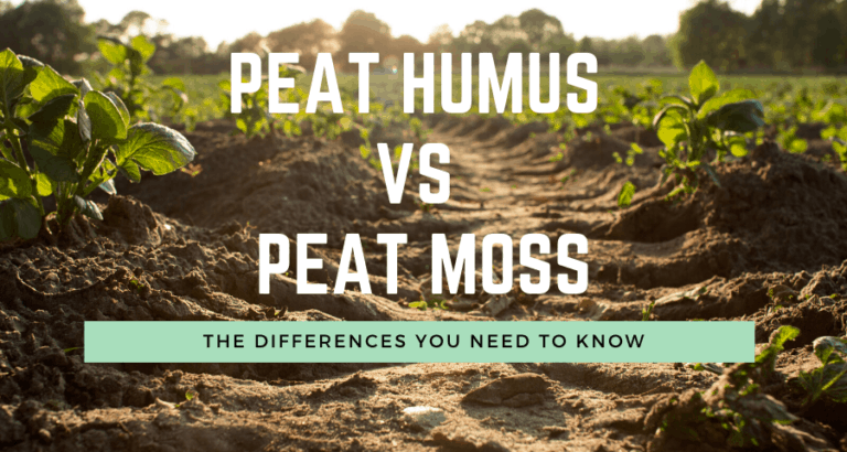 You are perhaps pondering to prepare your own soil and you heard about ...