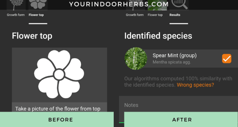 Identification Capability