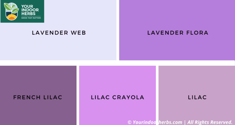 Below you can check the most popular. For all the varieties you can ...