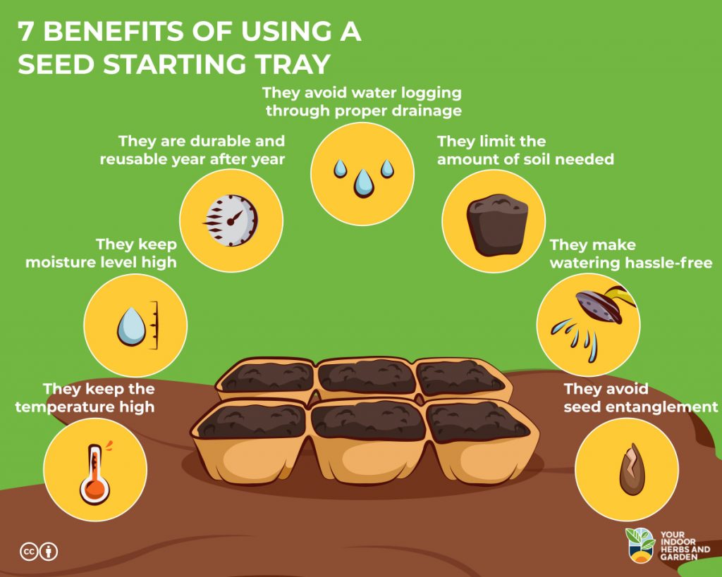 Benefits Of Using A Seed Starting Tray – Infographic