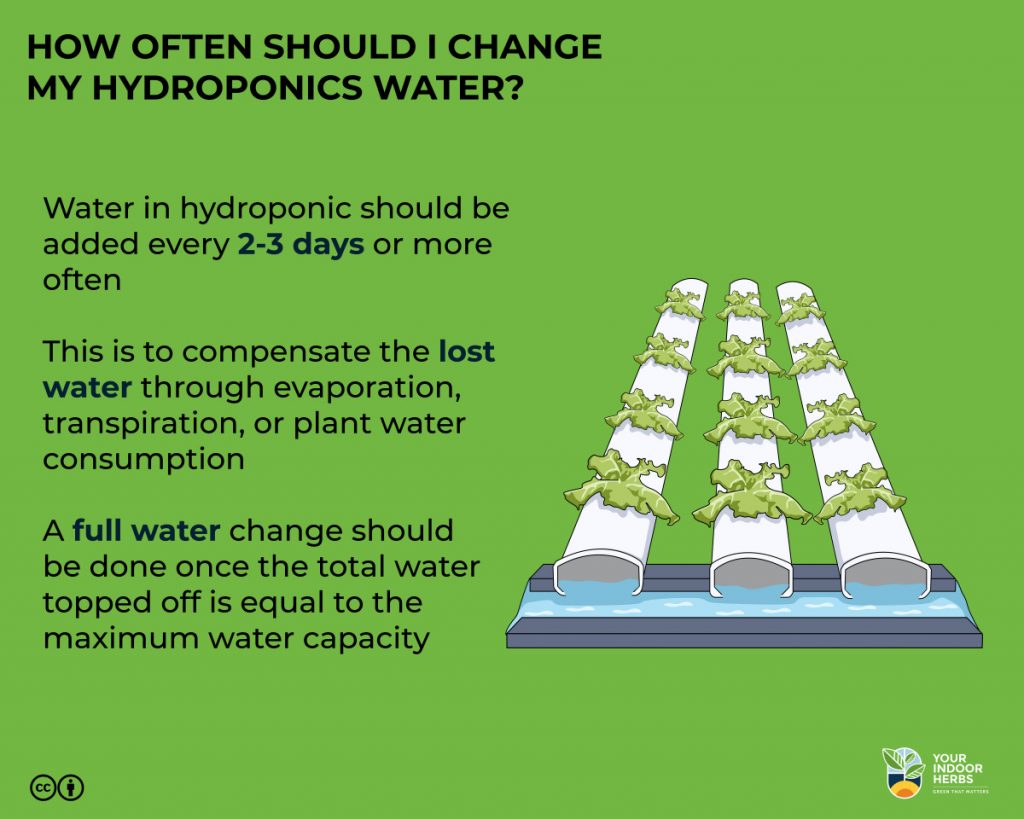 How Often Should I Change My Hydroponics Water? – Your Indoor Herbs