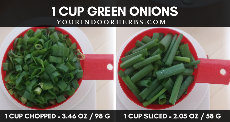 Difference between a chopped and a sliced green onion
