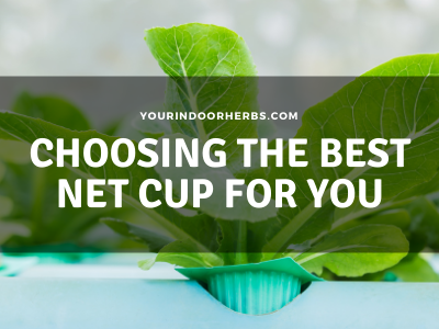 What Net Cup Size Should You Use in Hydroponics? | Your Indoor Herbs ...