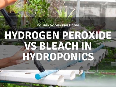 Hydrogen Peroxide VS Bleach in Hydroponics: Which is Better? | Your ...