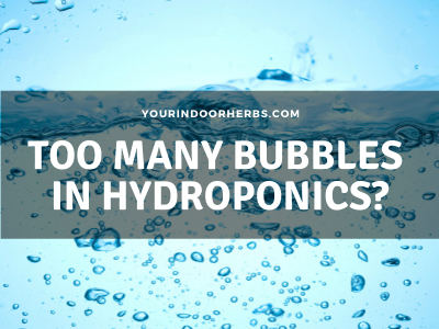 Too Many Bubbles in DWC Hydroponics: Is It a Bad Sign? | Your Indoor ...