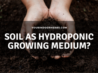 Hydroponic Growing Medium Guide (Should You Use Soil?) | Your Indoor ...