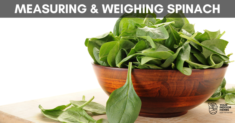 Spinach: Leaf Dimensions, Serving Size & Weight (Measured)