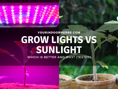 Grow Lights vs Sunlight: Which is Better? (Tested!) | Your Indoor Herbs ...