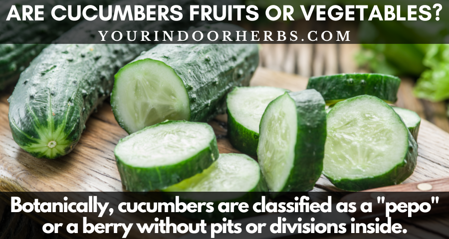 Cucumbers Are Botanical Berries